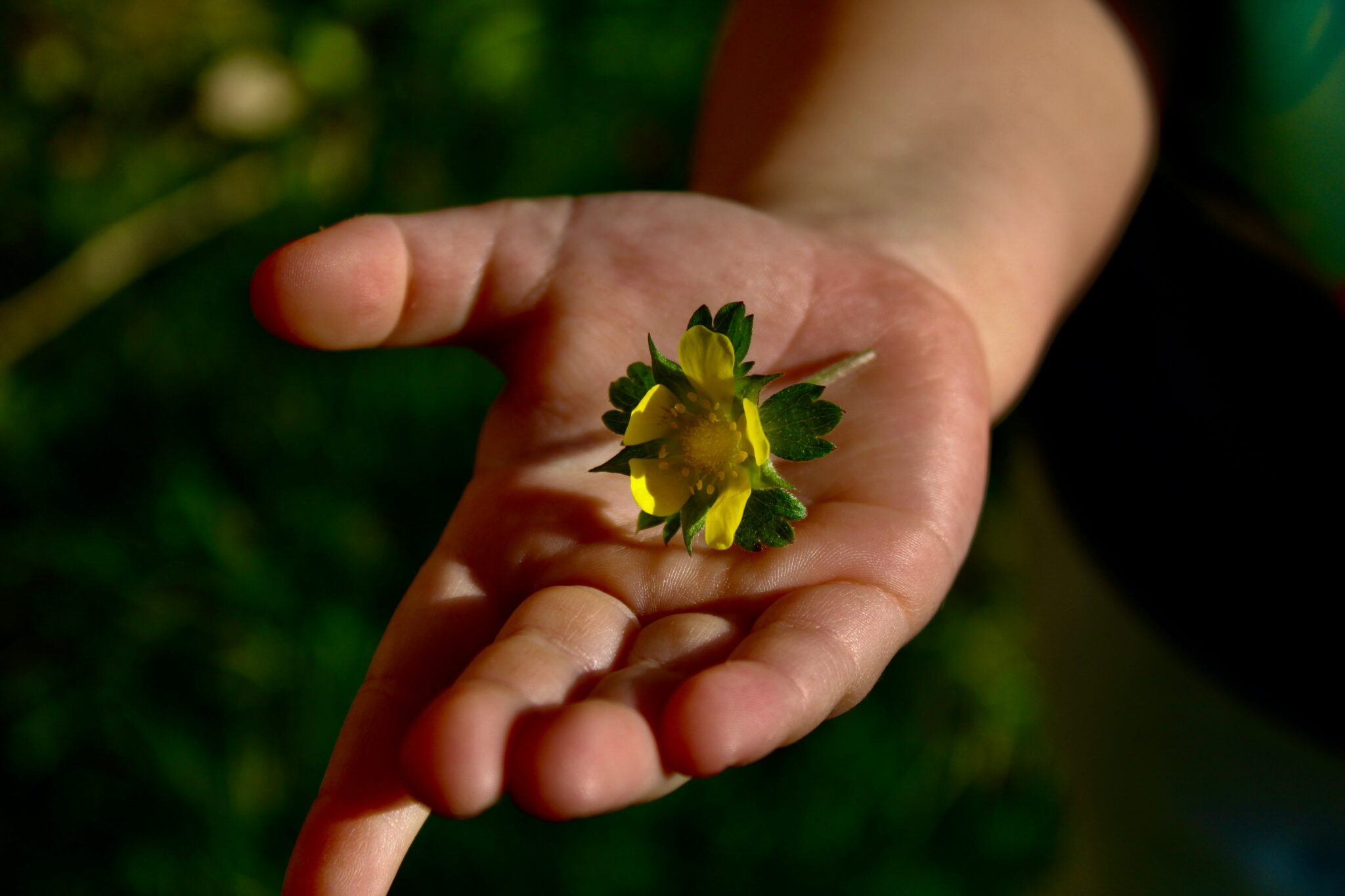 In a World of Worms: Pinworms (Threadworms) and Kids – The Naturopaths ...
